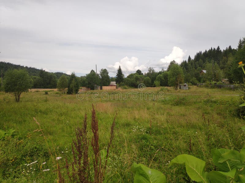 Glade on the Background of the House Editorial Photography - Image of ...