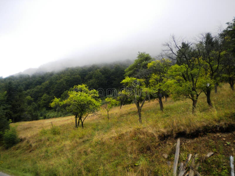 Glade stock image. Image of cloud, cloudy, grass, nature - 87281581