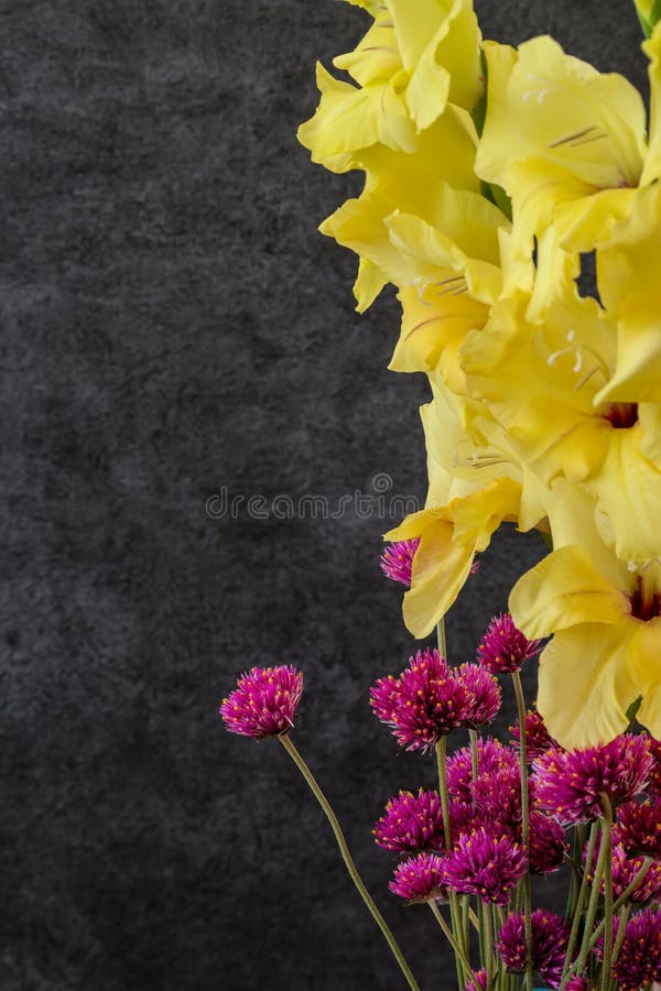 Gladiolus Globe Amaranth Isolated Stone Pattern Background Stock Photos ...
