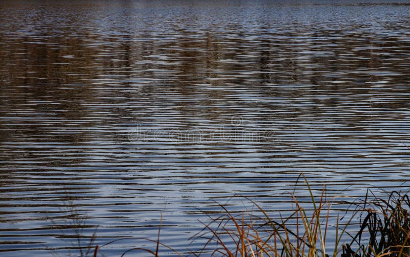 Lake in Samara stock image. Image of park, autumn, samara - 108257079