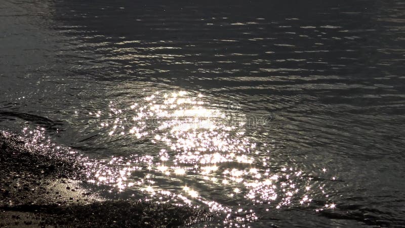 Refraction of Sun Rays through Water on Sea Shells in Blue Water. Stock ...