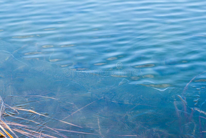 Glared water stock photo. Image of stream, liquid, abstract - 110735504