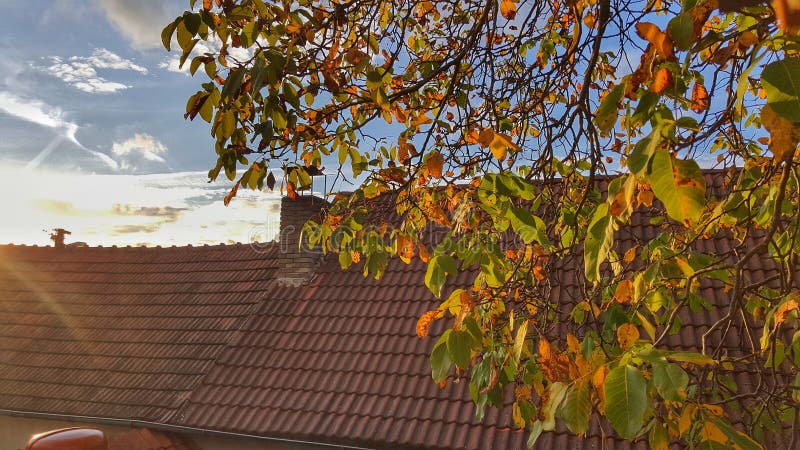 Glaring Fall from the Attic Stock Photo - Image of house, cloudy: 101354082