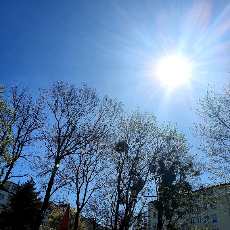 Sun glaring over beach stock photo. Image of glaring - 75729506