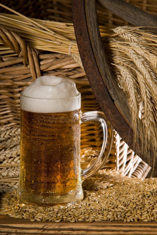 Gerst en bier stock foto. Image of naughty, alcohol, mout - 15642798