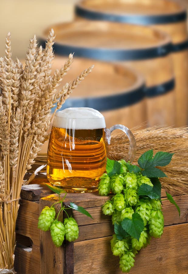 Glas bier en hop stock afbeelding. Image of veehouderij - 113648715