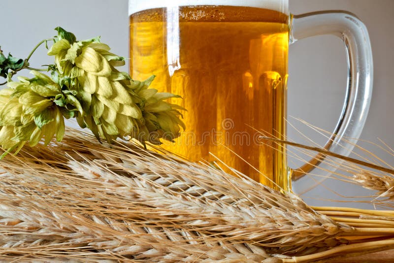1,392 Bier Mit Hopfen Und Gerste Fotos - Kostenlose und Royalty-Free ...