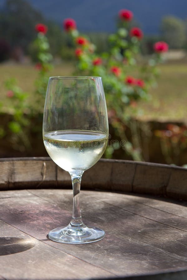 Glas Wein. stockbild. Bild von alkohol, getränk, einstellung - 4902573