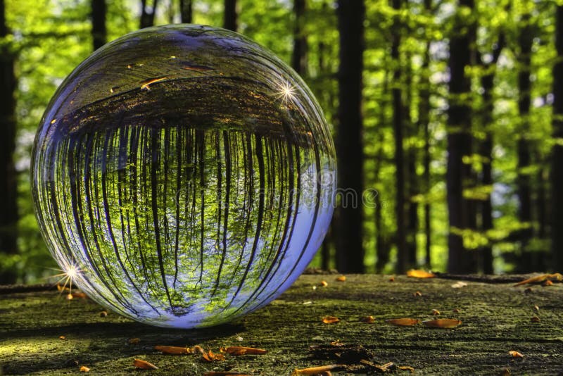 Glass ball in nature stock photo. Image of season, green - 149823532