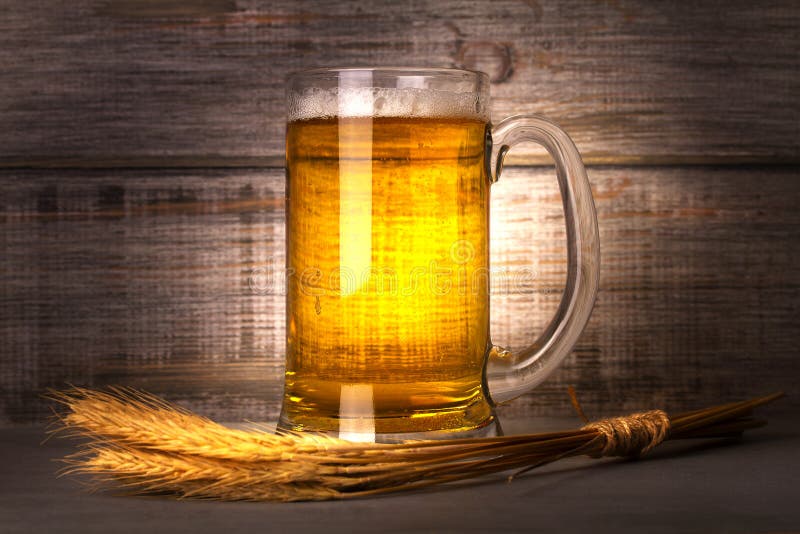 Glass of Beer and Barley Cereal Grain. Beer Still Life. Stock Image ...