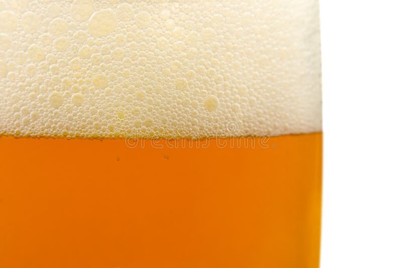 Beer stock photo. Image of draught, full, lager, hops - 25691454