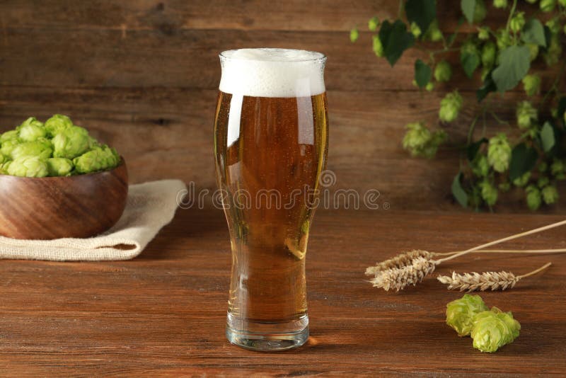 Glass of Beer, Fresh Green Hops and Spikes on Wooden Table Stock Photo ...