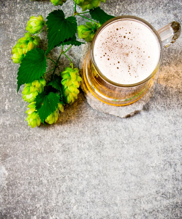 Glass of Beer and Green Hops. Stock Photo - Image of glass, beverage ...