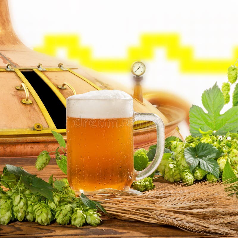 Glass of Beer with Hops and Barley Stock Photo - Image of glass, plant ...