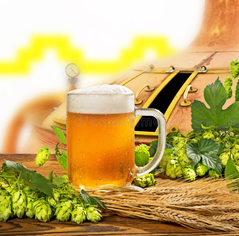 Glass of Beer with Hops and Barley Stock Photo - Image of industry ...