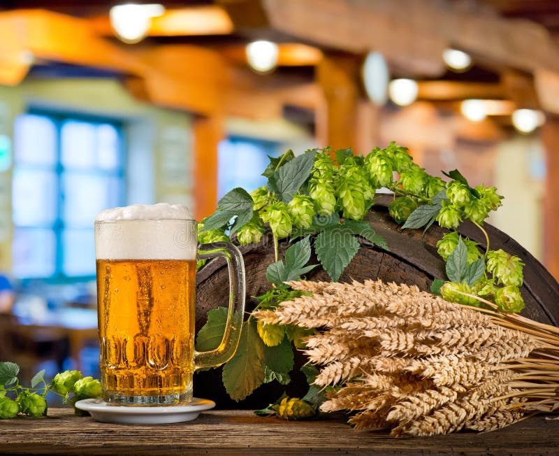 Glass of Beer with Hops and Barley Stock Photo - Image of template ...