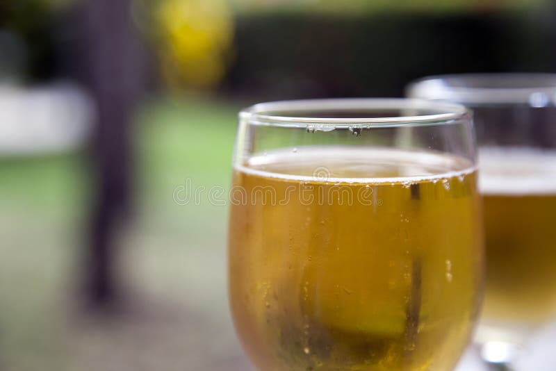 Glass of Beer in Nature stock photo. Image of beer, clear - 23037126