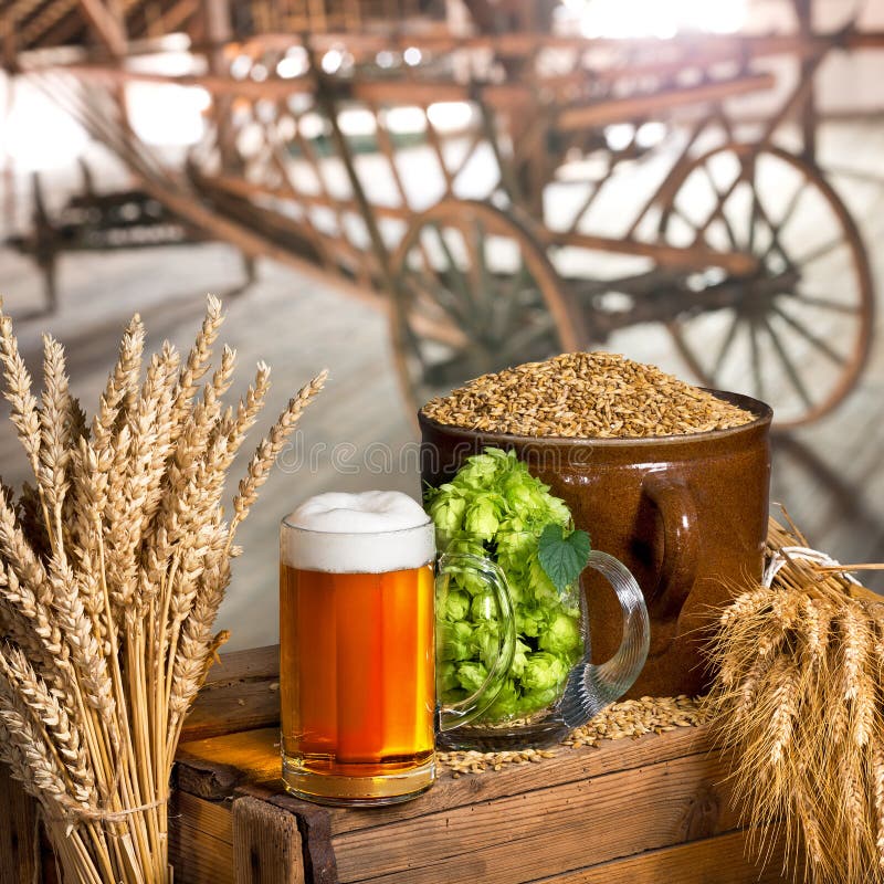 Glass of Beer and Raw Material for Beer Production Stock Photo - Image ...