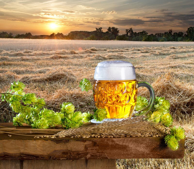 Glass of beer stock image. Image of side, cereal, foam - 140040509