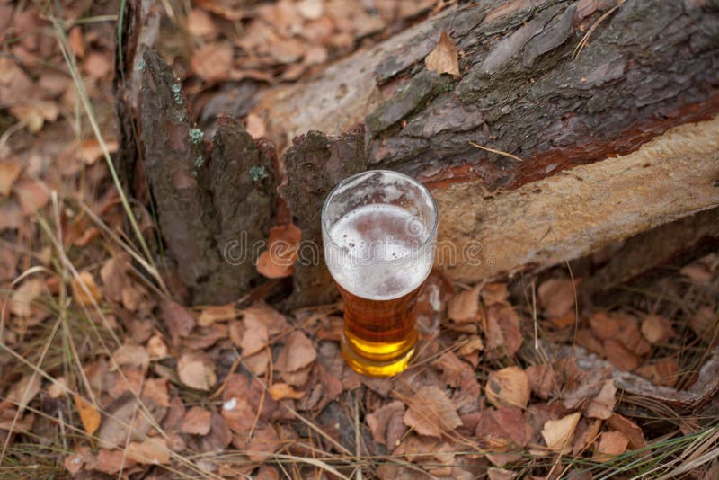 Glass of Beer in the Forest Stock Photo - Image of beverage, forest ...