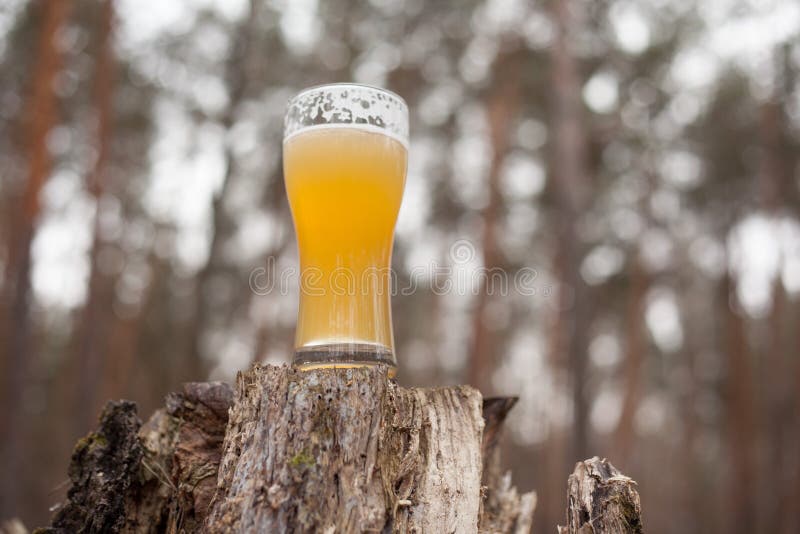 A Glass of Beer on a Tree Stump Stock Photo - Image of glass, beer ...