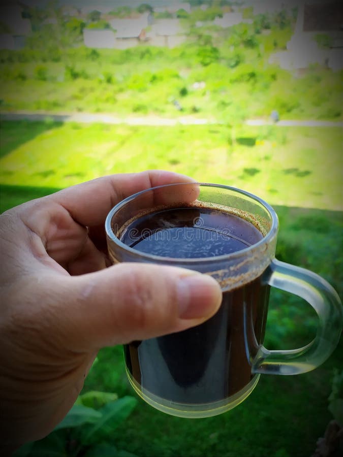 View of Rice Fields and Clear Sky Stock Photo - Image of green ...