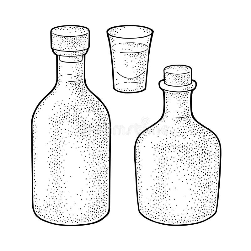 Glass And Botlle Of Tequila Cactus Salt And Lime Hand Drawn Sketch Set Of Alcoholic Cocktails