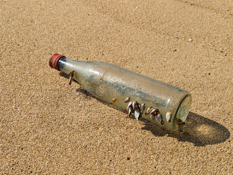 Glass Bottle with Barnacles Washed Ashore Stock Photo - Image of ...