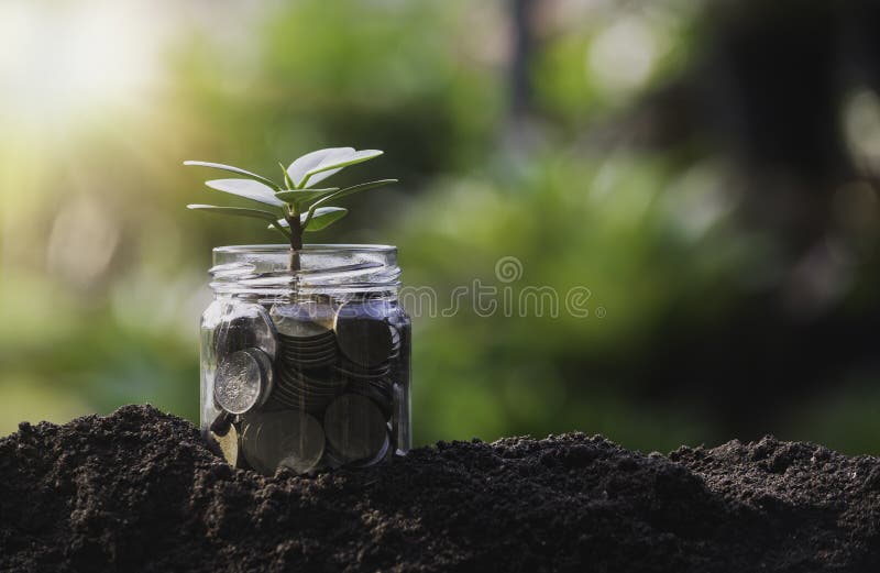 A Glass Bottle Coins with Plants Growing on the Ground Idea Concept ...