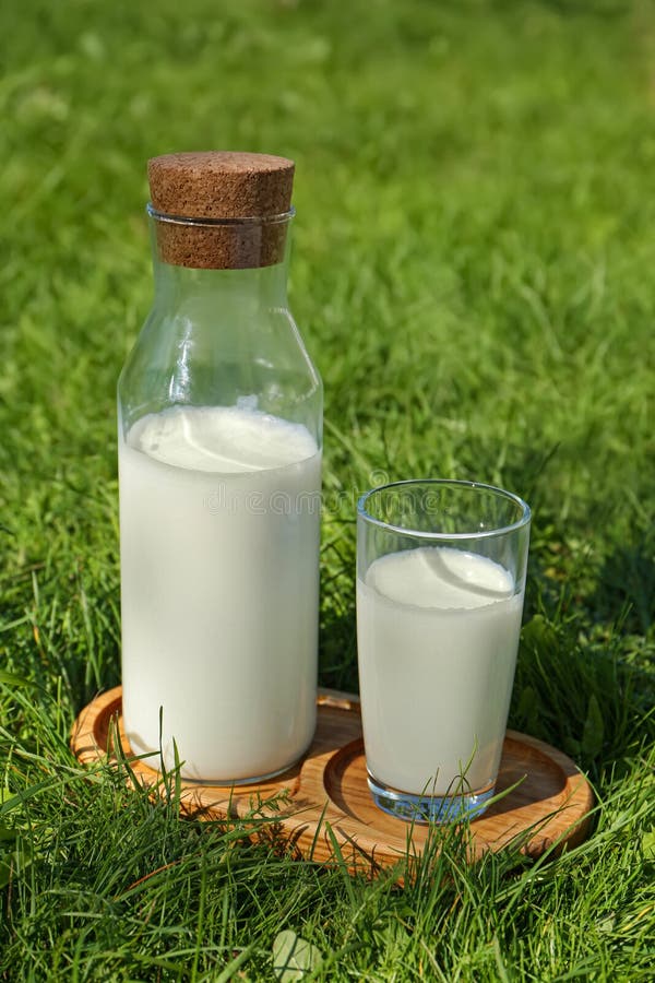 Glass and Bottle of Fresh Milk on Green Grass Outdoors Stock Image ...