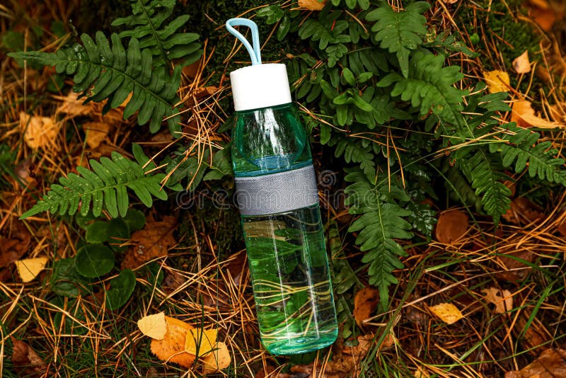 Glass Bottle of Fresh Water on Ground in Forest, Above View Stock Photo ...