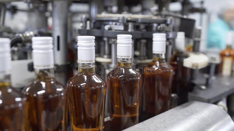 Glass Bottles Filled with Prune Tincture Move Along Conveyor Line with ...