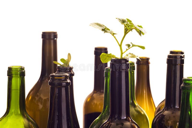 Glass bottles with plant stock image. Image of colorful - 32819355