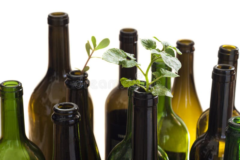 Glass bottles with plant stock photo. Image of beverage - 32825944
