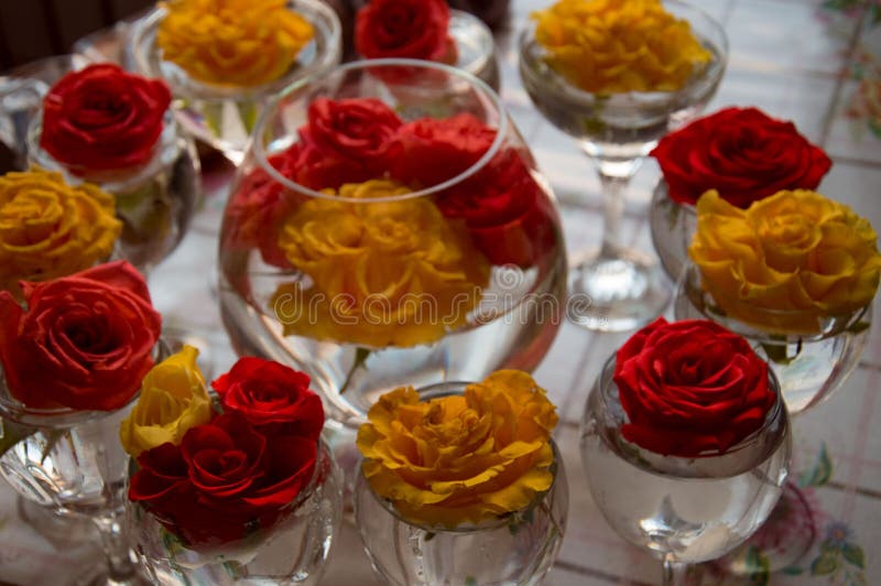 Glass with Bouquet of Roses on a Colored Background Stock Photo - Image ...