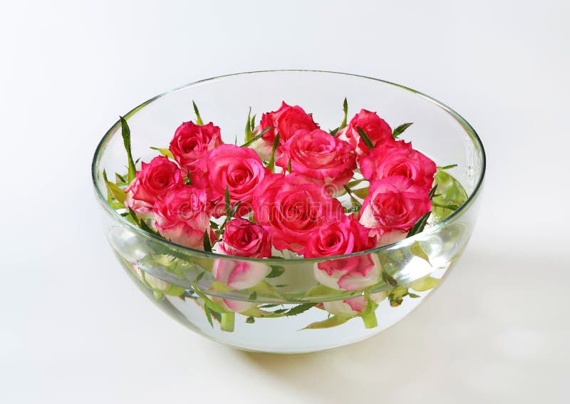 Floating Roses Stock Photos - Download 487 Royalty Free Photos