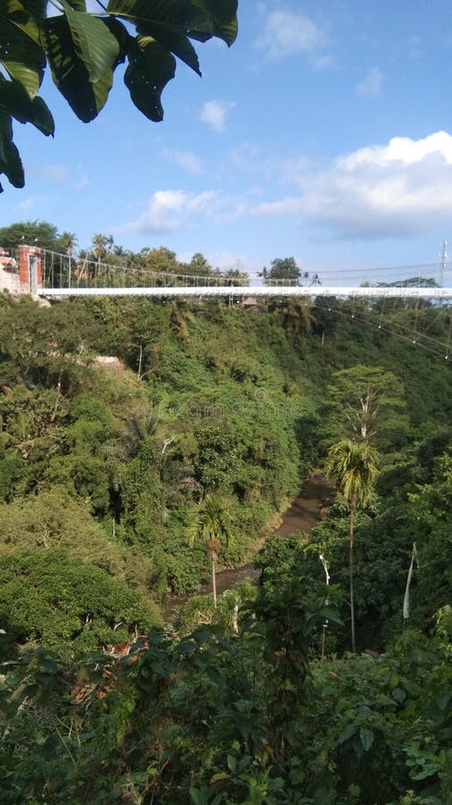 Glass bridge in Bali stock photo. Image of plant, river - 267459840