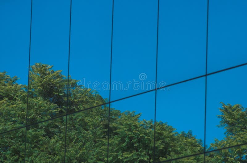 Glass Building with Tree Reflection Stock Image - Image of colourful ...