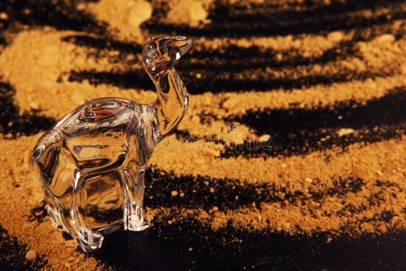 Camel Glasses Photos - Free & Royalty-Free Stock Photos from Dreamstime