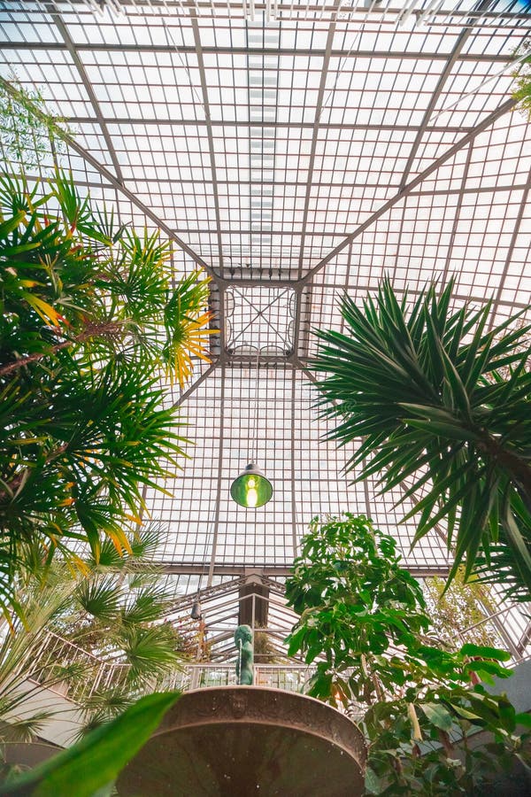 Glass Ceiling of a Large Green House Stock Image - Image of gardening ...