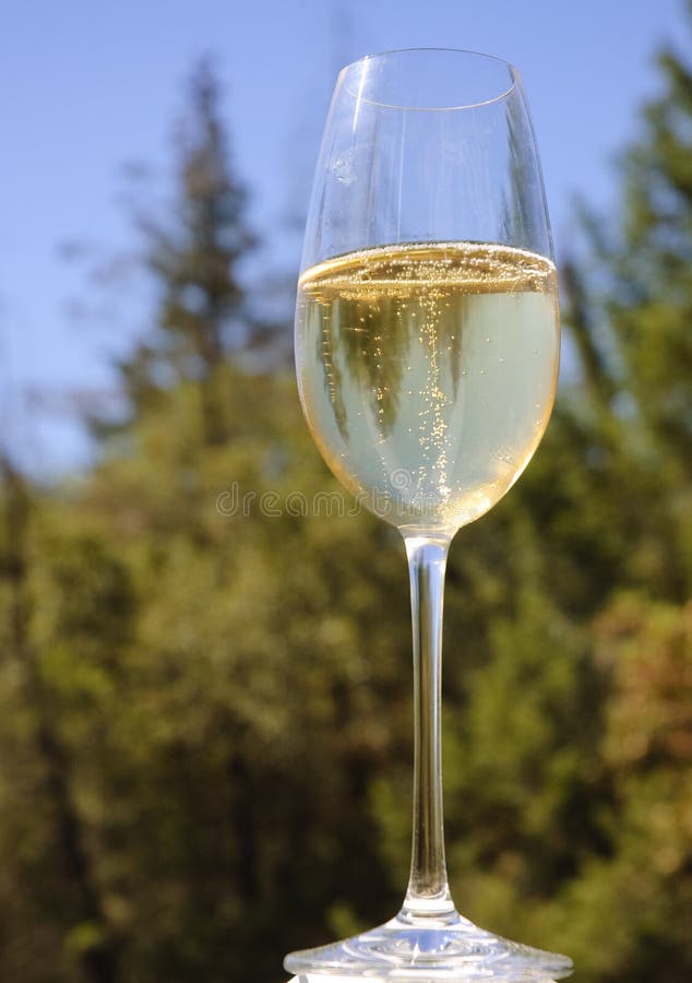 Champagne glass stock image. Image of alcohol, congratulations - 1355305