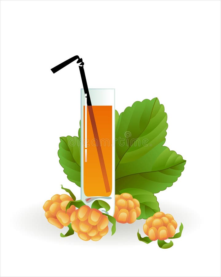 Glass of Cloudberry Juice on a White Stock Vector - Illustration of ...