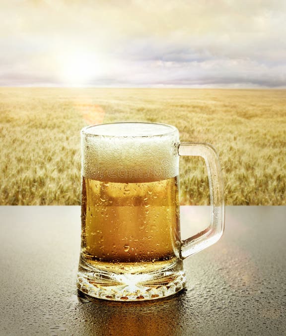 Glass of Cold Beer in Nature Stock Image - Image of malt, cold: 23669101