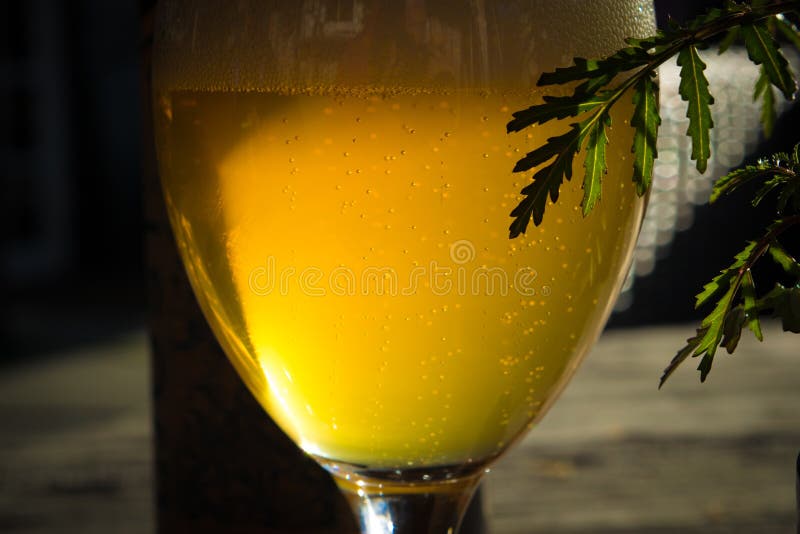 Glass with cold beer stock image. Image of beer, brew - 97481883