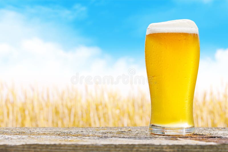 Glass Cold Beer Sits Table Vast Rye Field Stock Photos - Free & Royalty ...