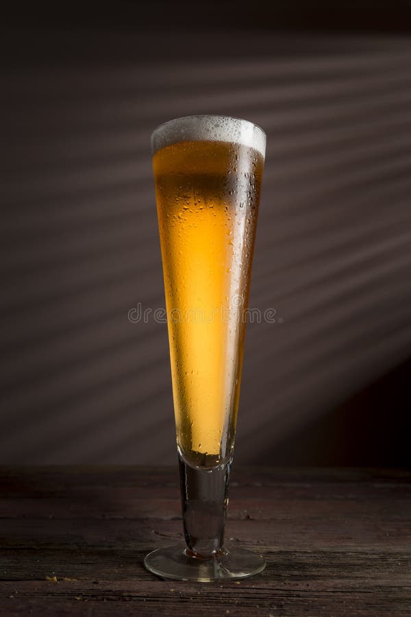 Glass of cold light beer stock photo. Image of cold - 109485288