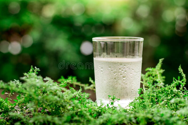 A Glass of Cool Fresh Water on Natural Green Background Stock Image ...