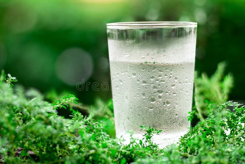 A Glass of Cool Fresh Water on Natural Green Background Stock Photo ...