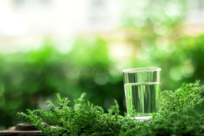 A Glass of Cool Fresh Water on Natural Green Background Stock Image ...