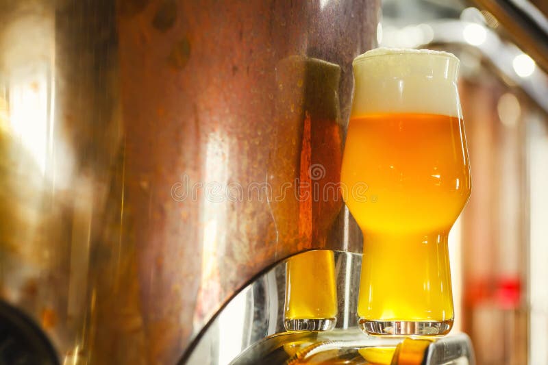 Glass of Craft Beer in a Brewery Stock Image - Image of inox, craft ...